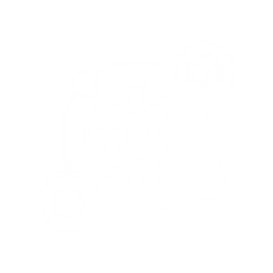 Financial Planners - xeppo.com.au